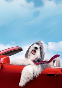 Hale Lytle on myCast - Fan Casting Your Favorite Stories