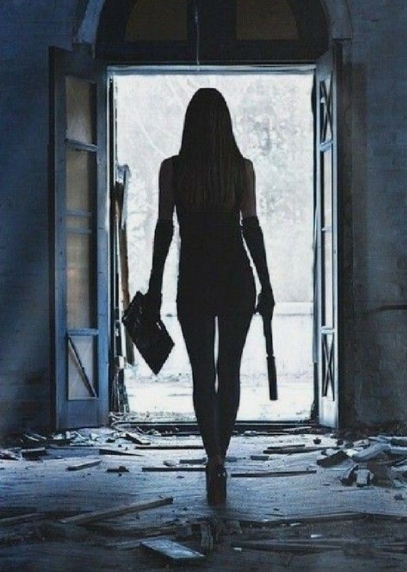 The Spy Princess Fan Casting on myCast