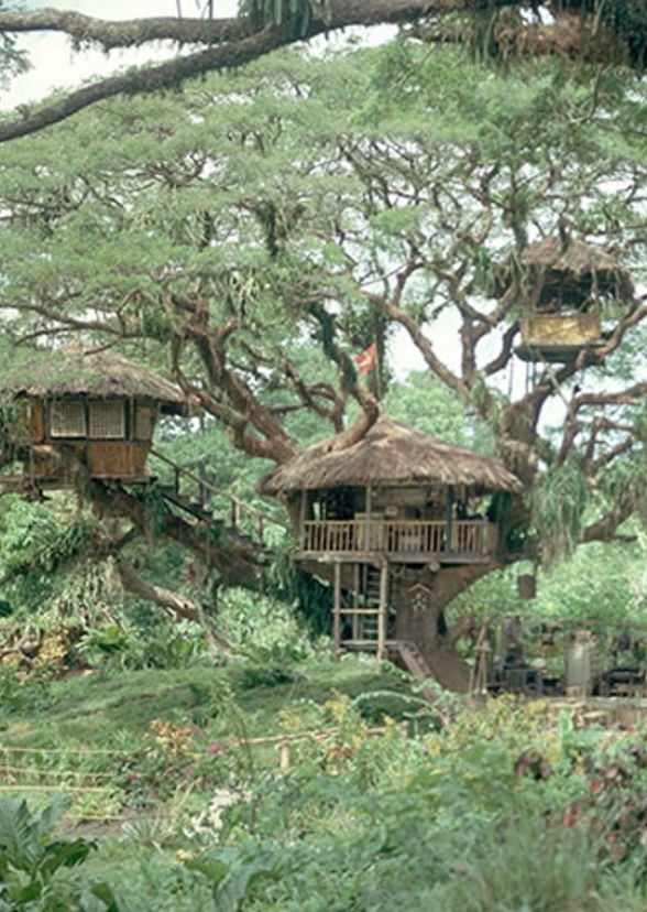 The Swiss Family Robinson Fan Casting on myCast