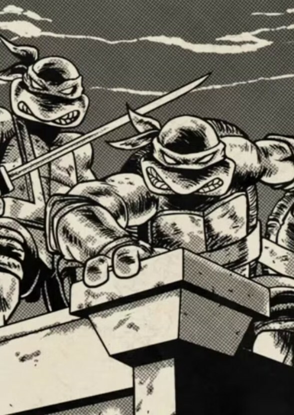 The Teenage Mutant Ninja Turtles Fan Casting on myCast