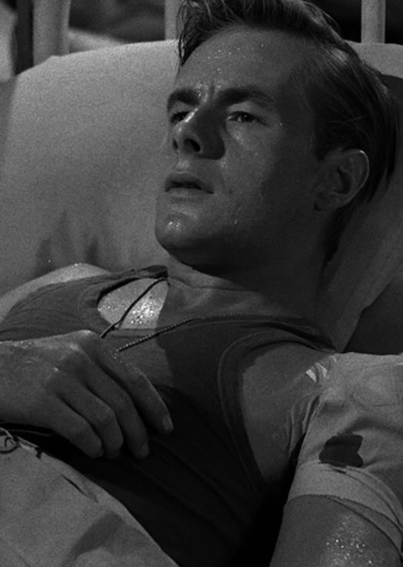 The Twilight Zone (1990s)/1x19 The Purple Testament Fan Casting on myCast