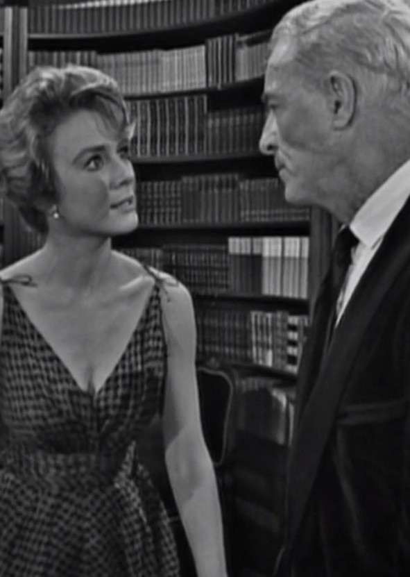 Find an Actor to Play Robert in The Twilight Zone (1990s)/2x08 ...