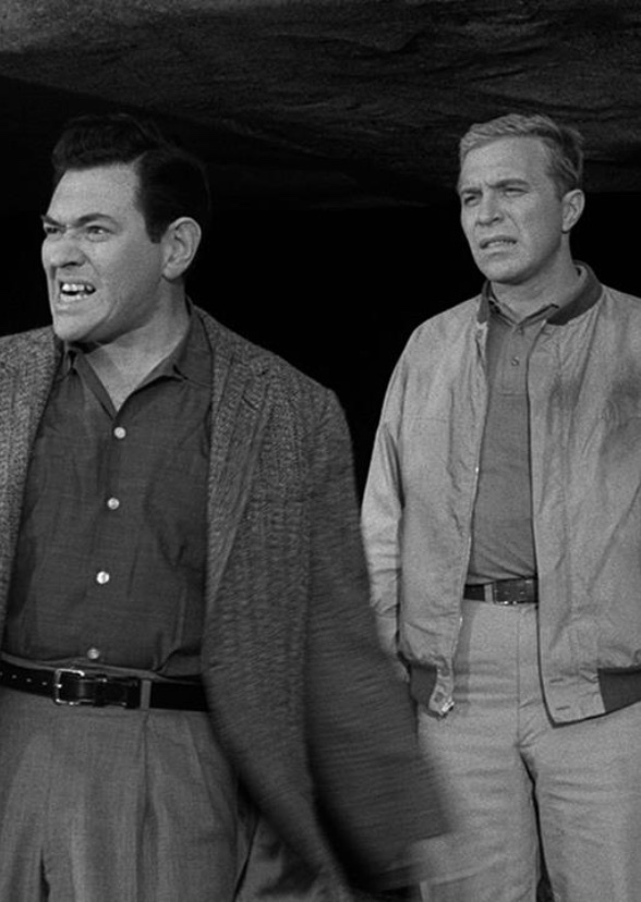 The Twilight Zone (1990s) 2x24 - The Rip Van Winkle Caper Fan Casting ...