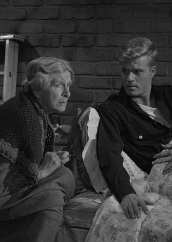 The Twilight Zone (1990s) 3x16 - Nothing in the Dark Fan Casting on myCast