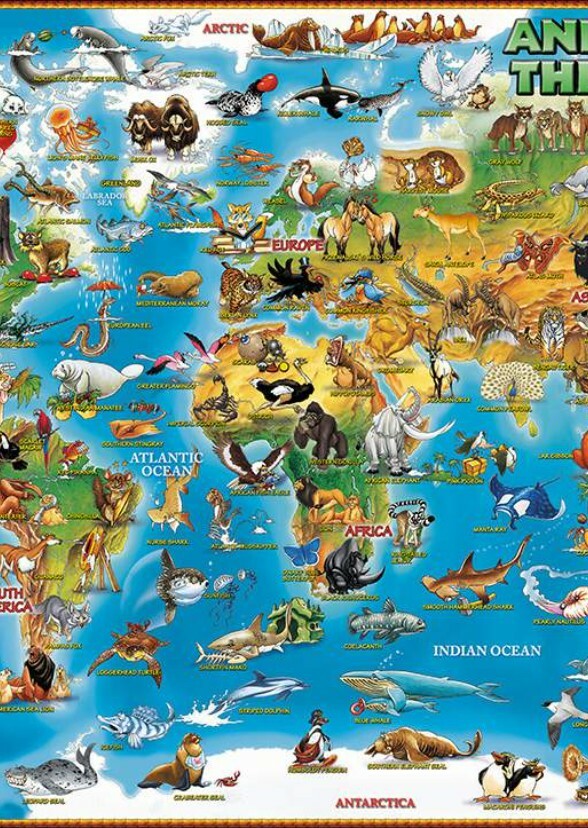 The Wildlife Animals TV Series Fan Casting on myCast