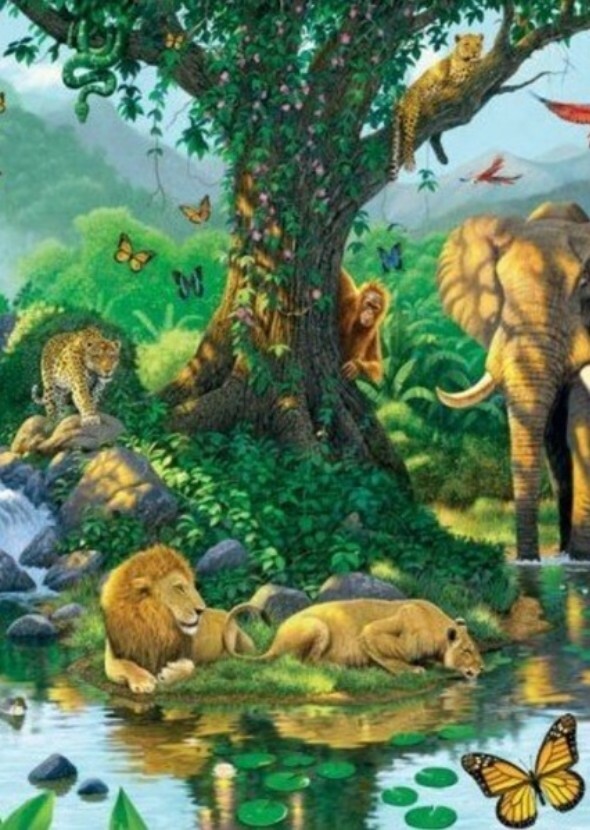 This Wild Earth: (PBS Nature Series) Fan Casting on myCast