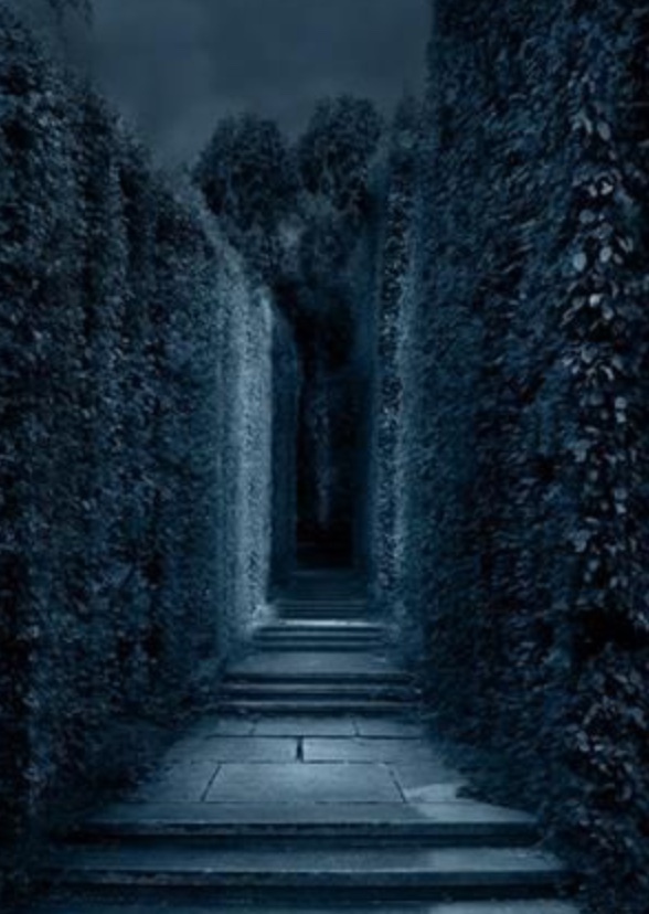 Fan Casting Chandler Kinney as The Black Witch in Tim Burton's The Dark Labyrinth on myCast