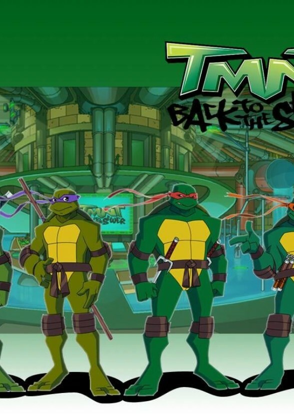 TMNT: Back to the Sewer Fan Casting on myCast