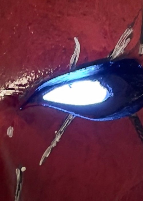 Todd Season 2 Fan Casting on myCast