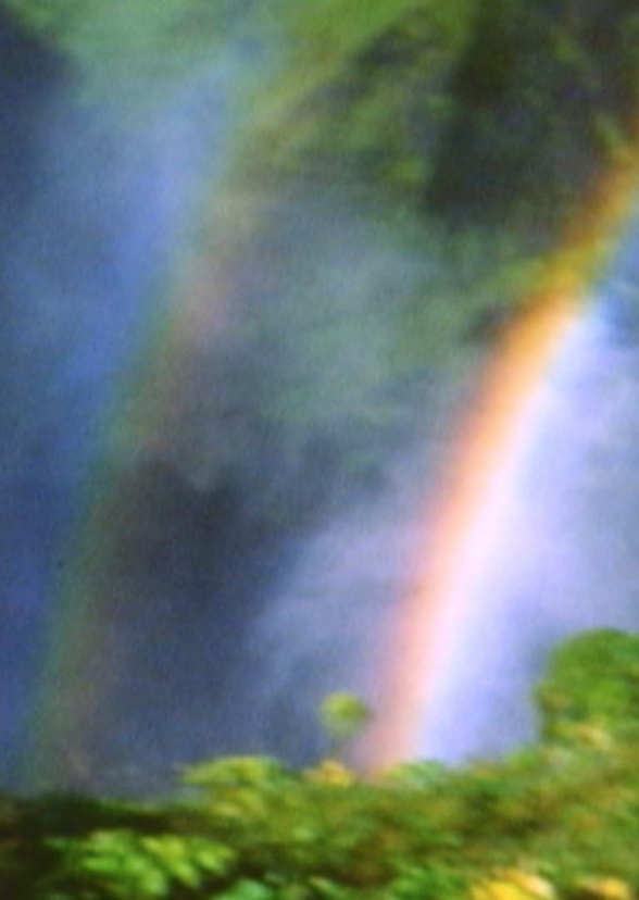 Tune Fan Casting on myCast