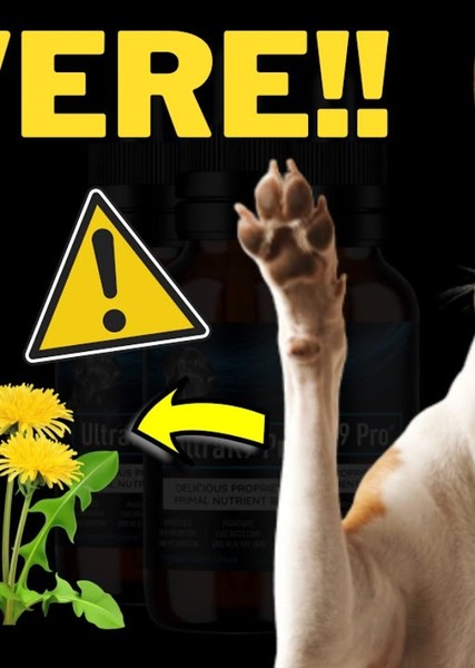 Landenn Doss on myCast - Fan Casting Your Favorite Stories