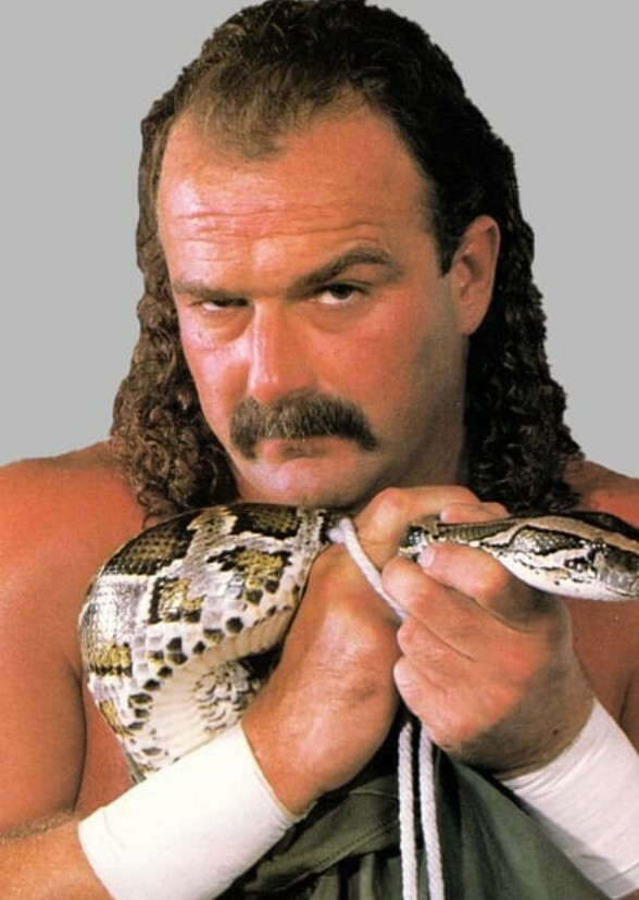 Uncoiling Shadows: The Jake the Snake Roberts Story Fan Casting on myCast