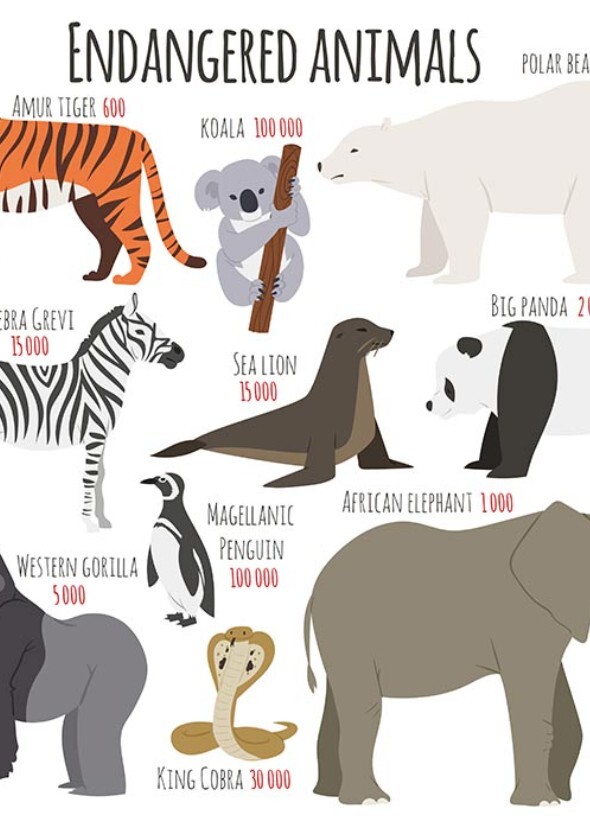 Universal Pictures: Endangered Wildlife Fan Casting on myCast
