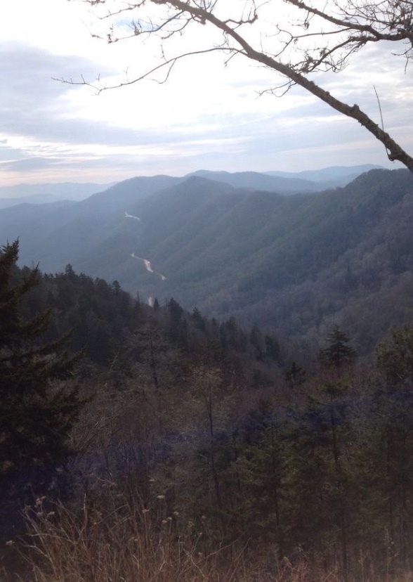 Natalie Dashkov Fan Casting for Vampire Academy | myCast - Fan Casting ...