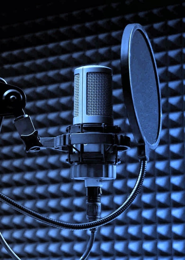 Voice Actor Face Claims Fan Casting on myCast