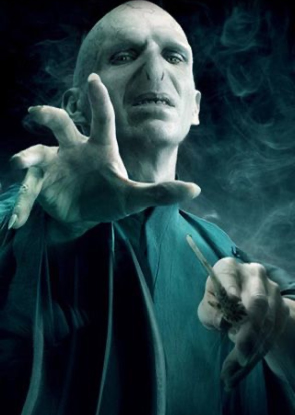 Voldemort Origins Movie Fan Casting on myCast