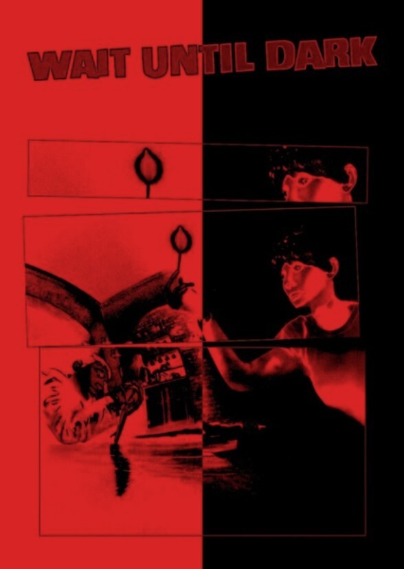 Wait Until Dark (2017) Fan Casting on myCast