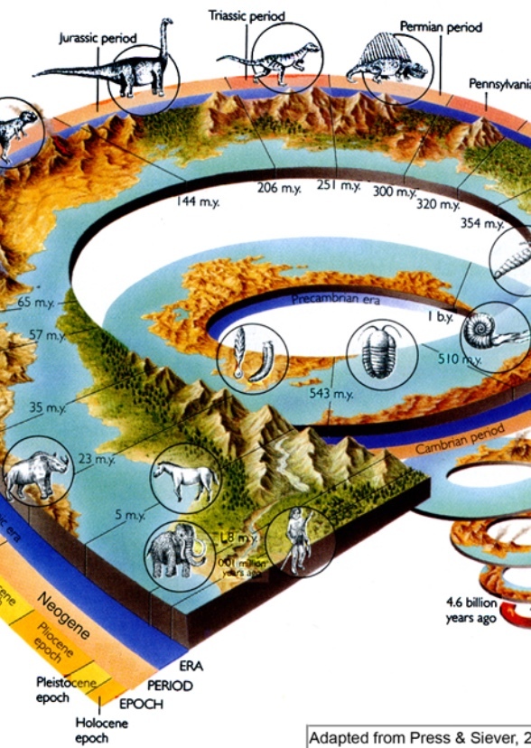 Walking with Evolution Fan Casting on myCast