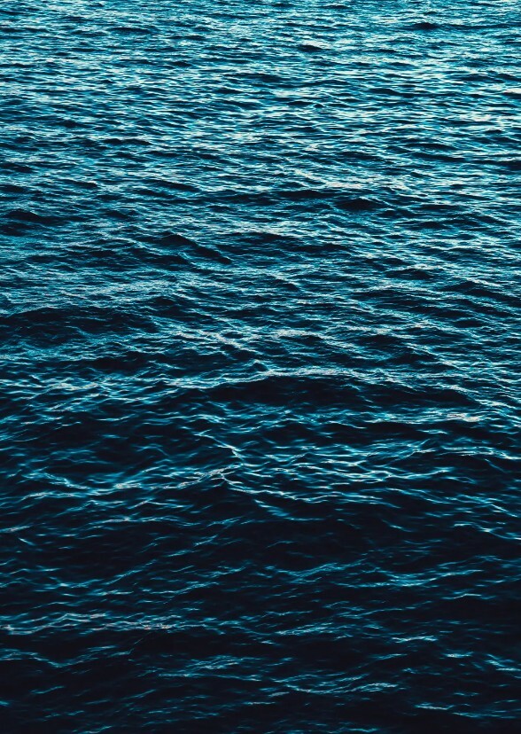 We Are Wild Things Fan Casting on myCast