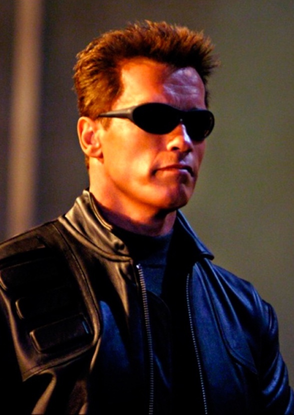 What Actors Could've Played The Terminator in Various Decades? Fan ...