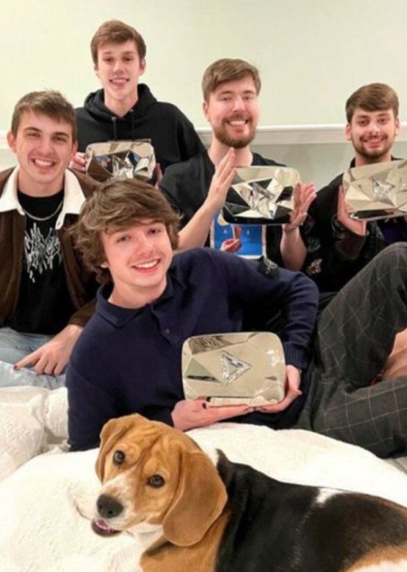 Which actors should play/voice the Mr. Beast guys? Fan Casting on myCast