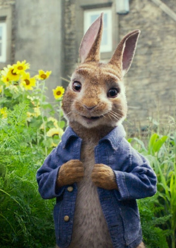 Which Actors Should've Played Peter Rabbit in Various Decades? Fan ...