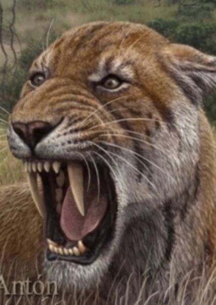 Judoon on myCast - Fan Casting Your Favorite Stories