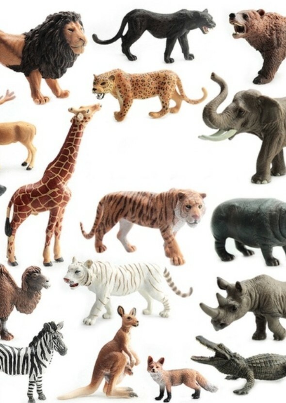 Wild 40 (PBS Nature Series) Fan Casting on myCast