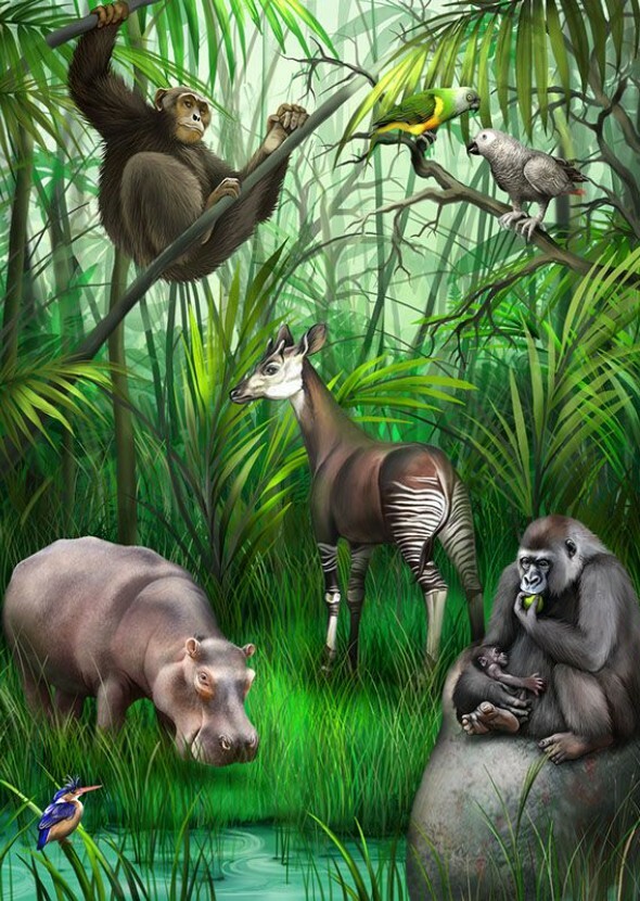 Wild Earth: Around the World Fan Casting on myCast