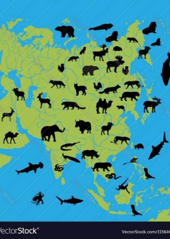 Wild Earth: Asia (PBS Nature Series) Fan Casting on myCast