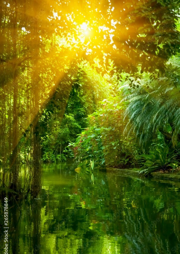 Wild Earth (PBS Nature Series) Fan Casting on myCast