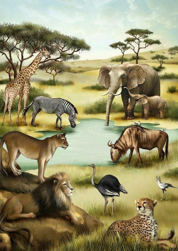 Wild Nature Fan Casting on myCast