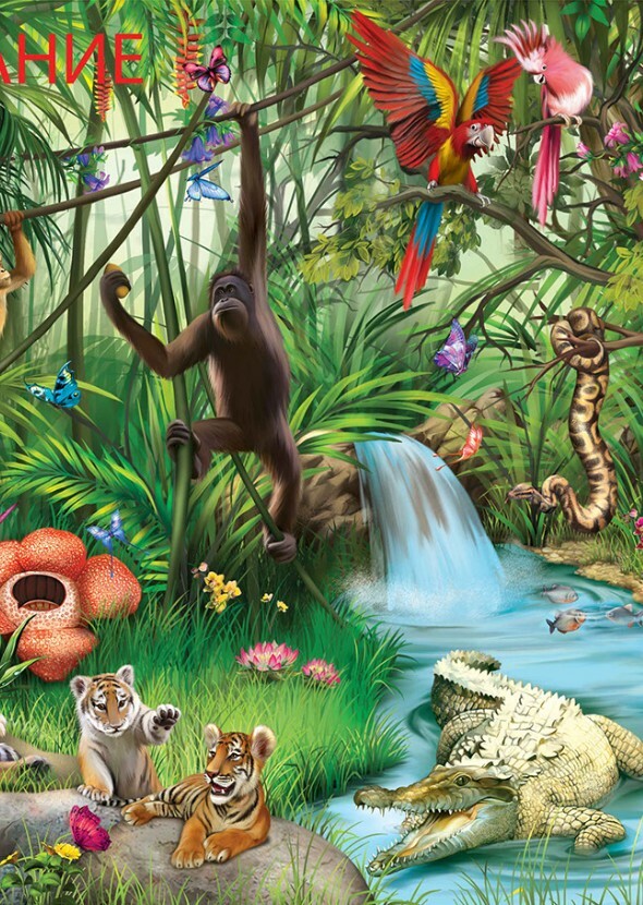 Wild Wonder: Exploring Earth's Untamed Treasures Fan Casting on myCast Wild Wonder: Exploring Earth's Untamed Treasures Fan Casting on myCast