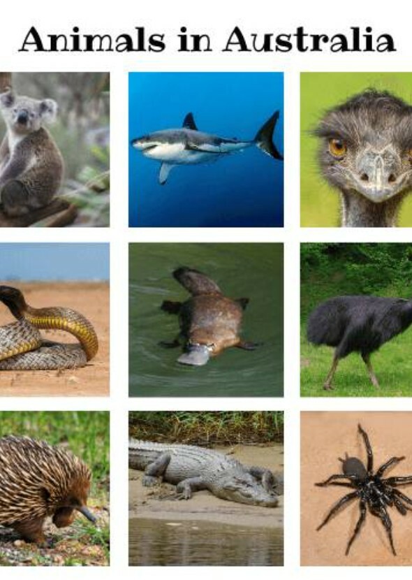 Wild Wonders: Exploring Earth's Diverse Habitats Fan Casting on myCast