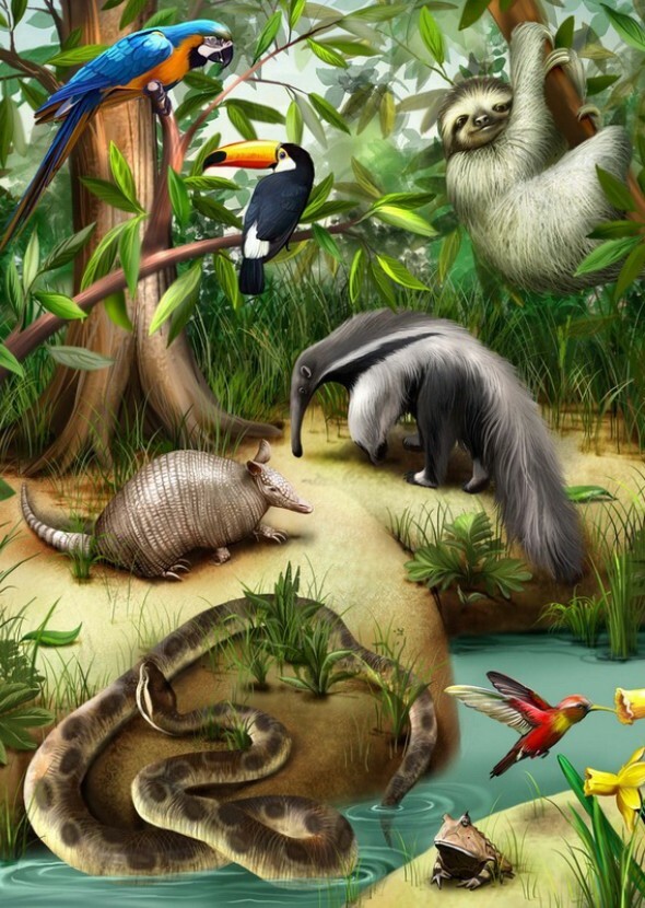 Wild Wonders: Exploring the Marvels of Mother Nature Fan Casting on myCast