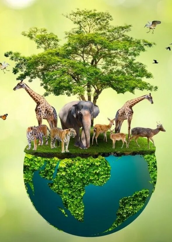 Wildlife Conversation Fan Casting on myCast