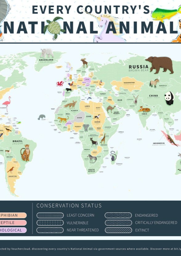 Wildlife Fan Casting on myCast