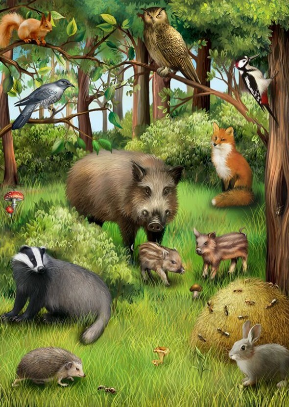 Wildscapes Unveiled:A Journey Through Earth's Untamed Beauty Fan ...