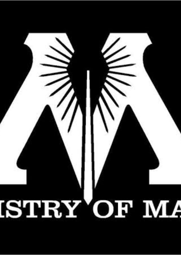 Wizarding World Origins: Auror Chronicles Fan Casting on myCast