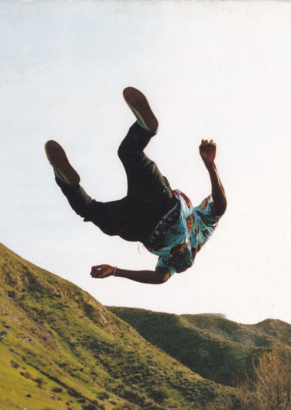 Wolf Fan Casting on myCast