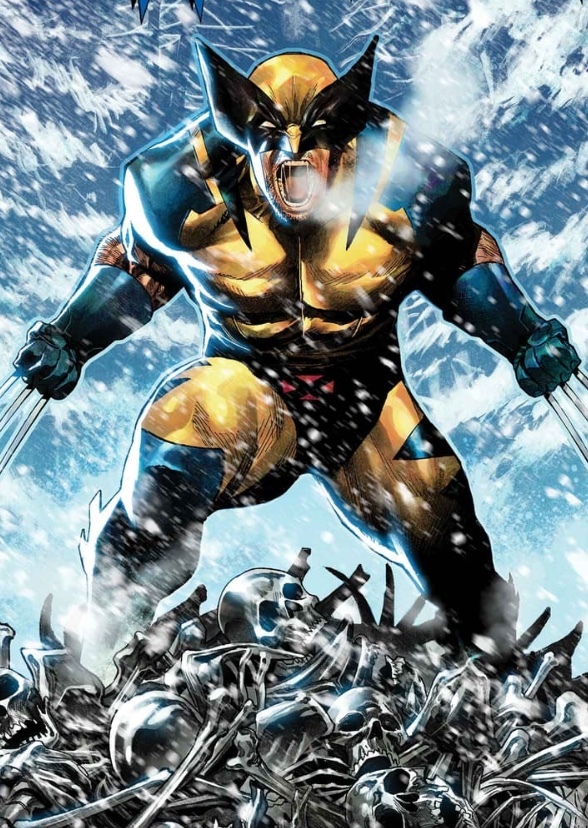 Wolverine: The Past Strikes Back Fan Casting on myCast