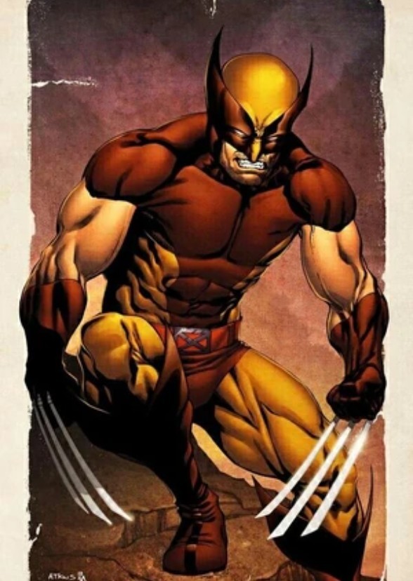 Wolverine: Origins Fan Casting on myCast