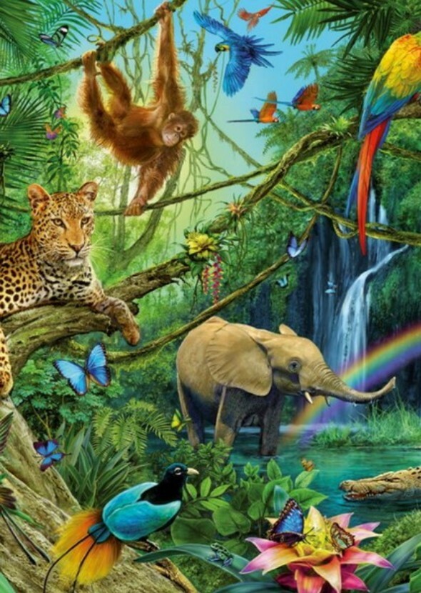 Wonderful World of Animals (PBS Nature Series) Fan Casting on myCast