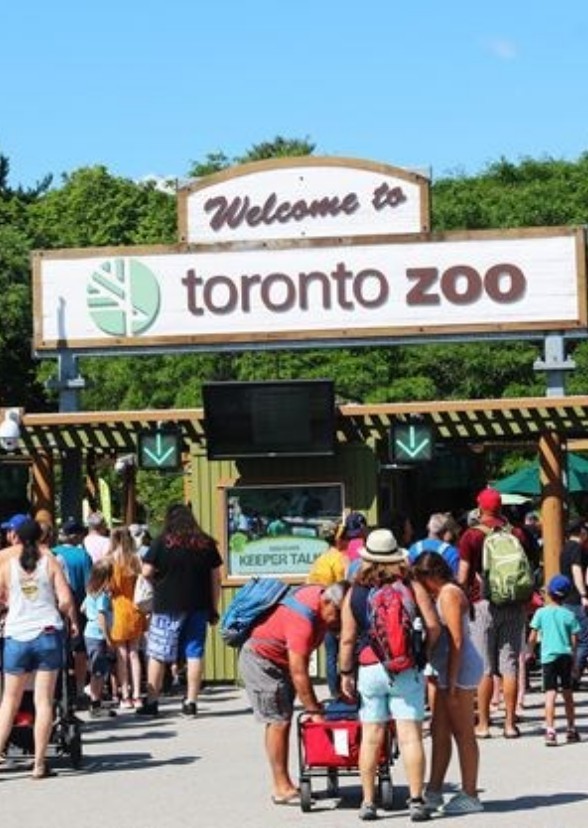Zoo Diaries: Canada Fan Casting on myCast
