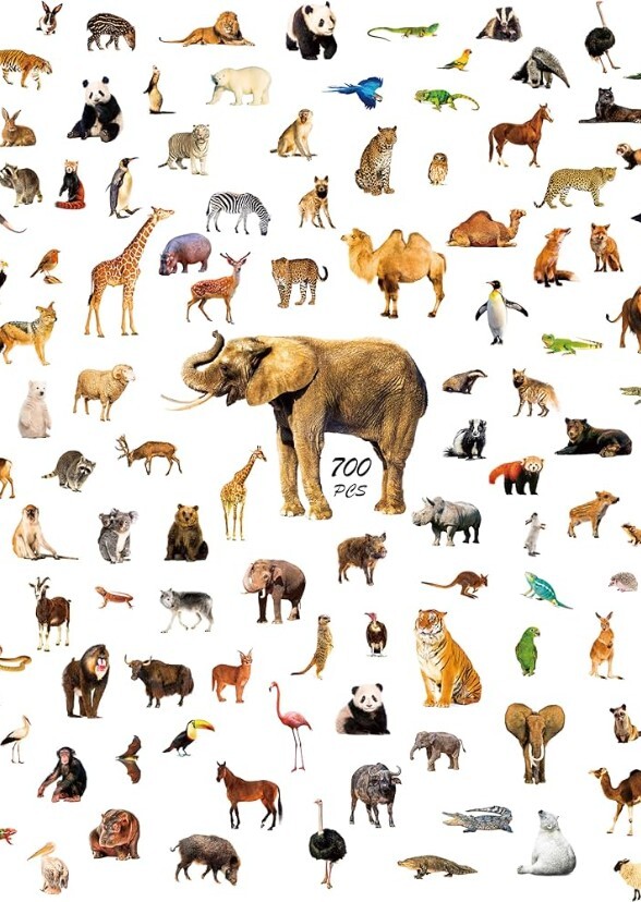 Fan Casting Armored Armadillo as Armadillo in Zoo on myCast