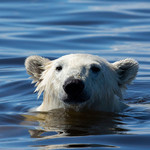 Night Court Fan Casting for Minor/One-Shot/Background Fictional ...